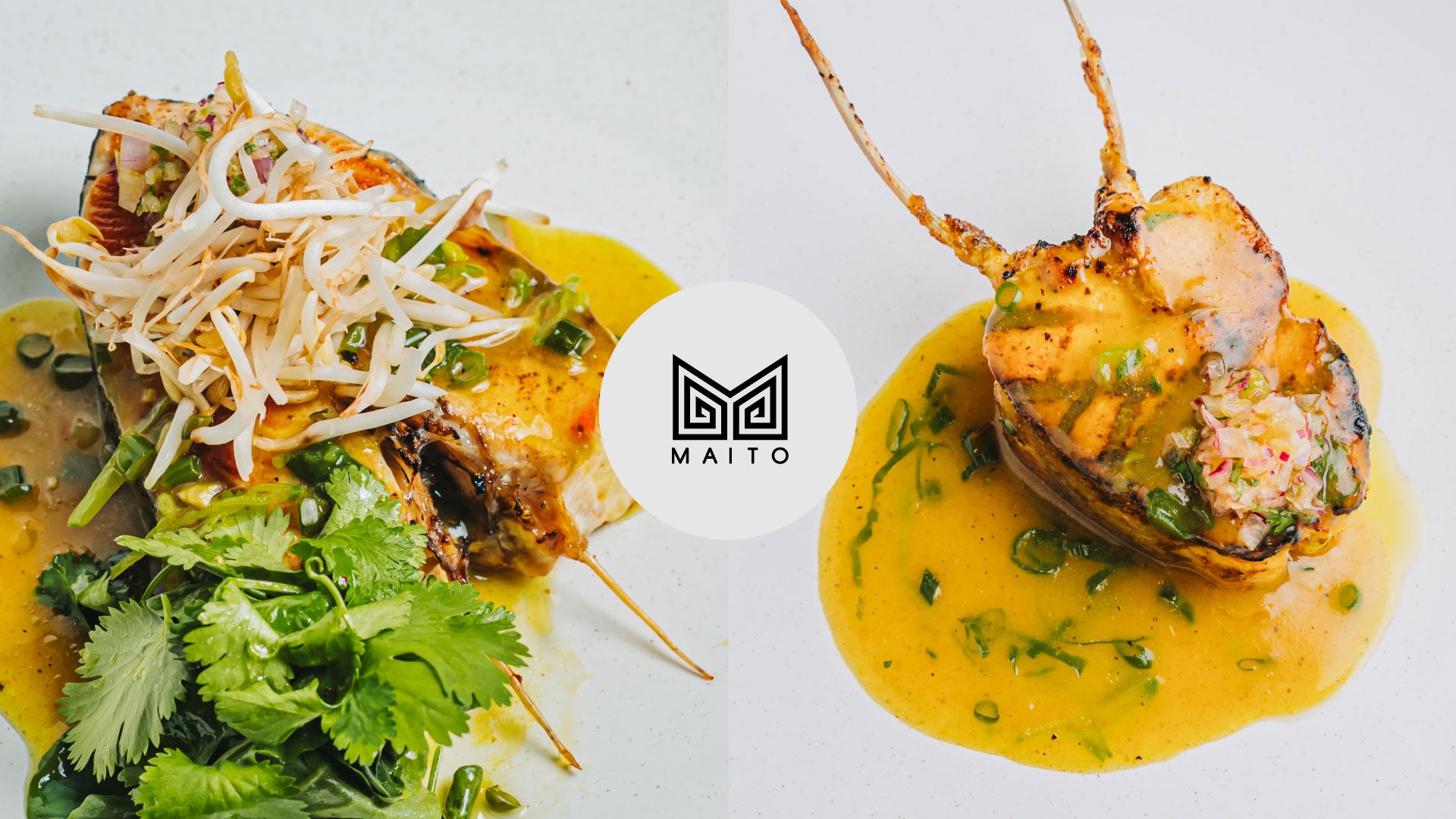 Grupo Maito – Grupo Maito